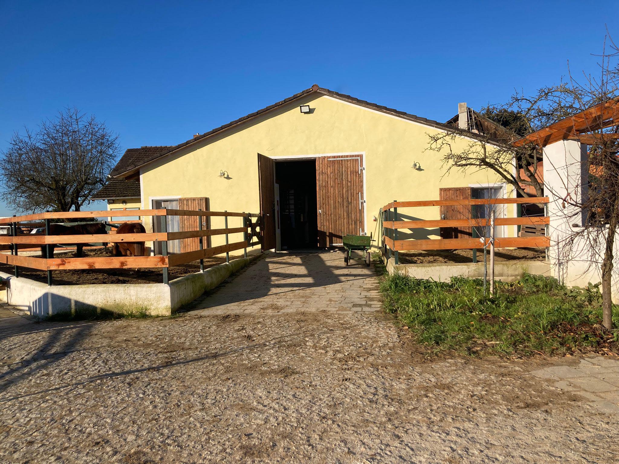 Reitunterricht und Reitanlage - Gut Albersberg - Anna Fiedler